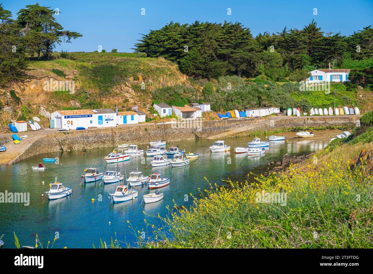 France, Vendée, Ile d'Yeu, port of La Meule along the wild coast ...