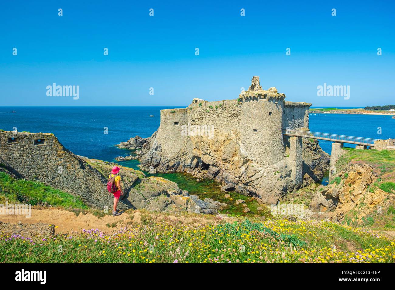 France, Vendée, Ile d'Yeu, the wild coast (southern coast), hiking on ...