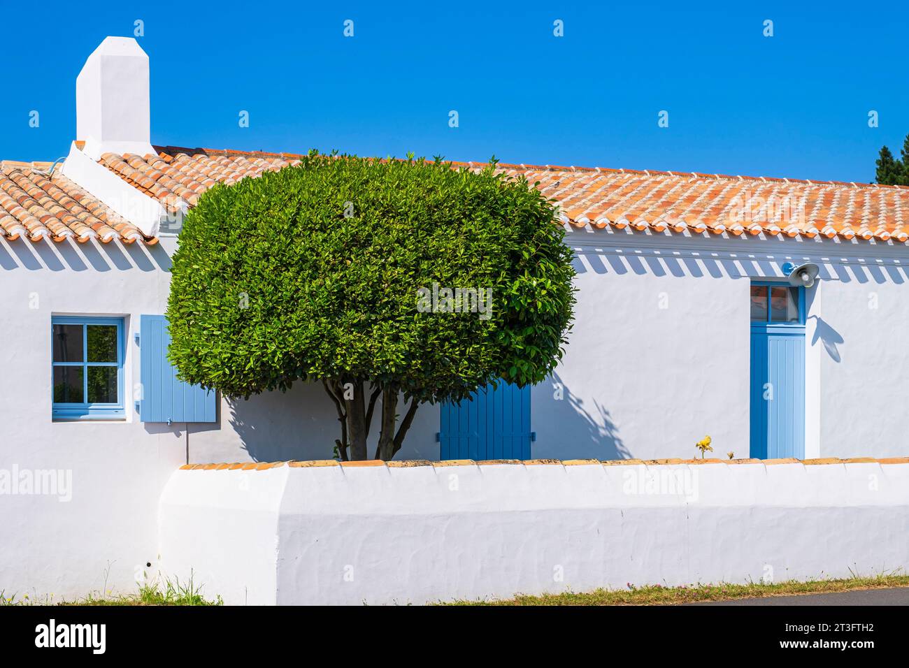 France, Vendée, Ile d'Yeu, Saint-Sauveur, village with white facades ...