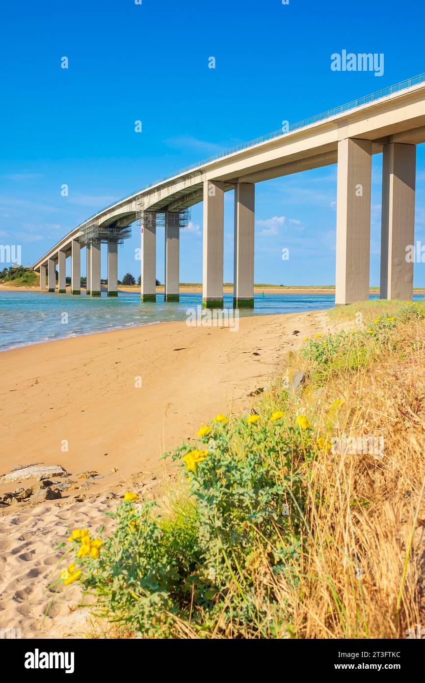France, Vendee, Noirmoutier island, Barbatre, Pointe de La Fosse ...