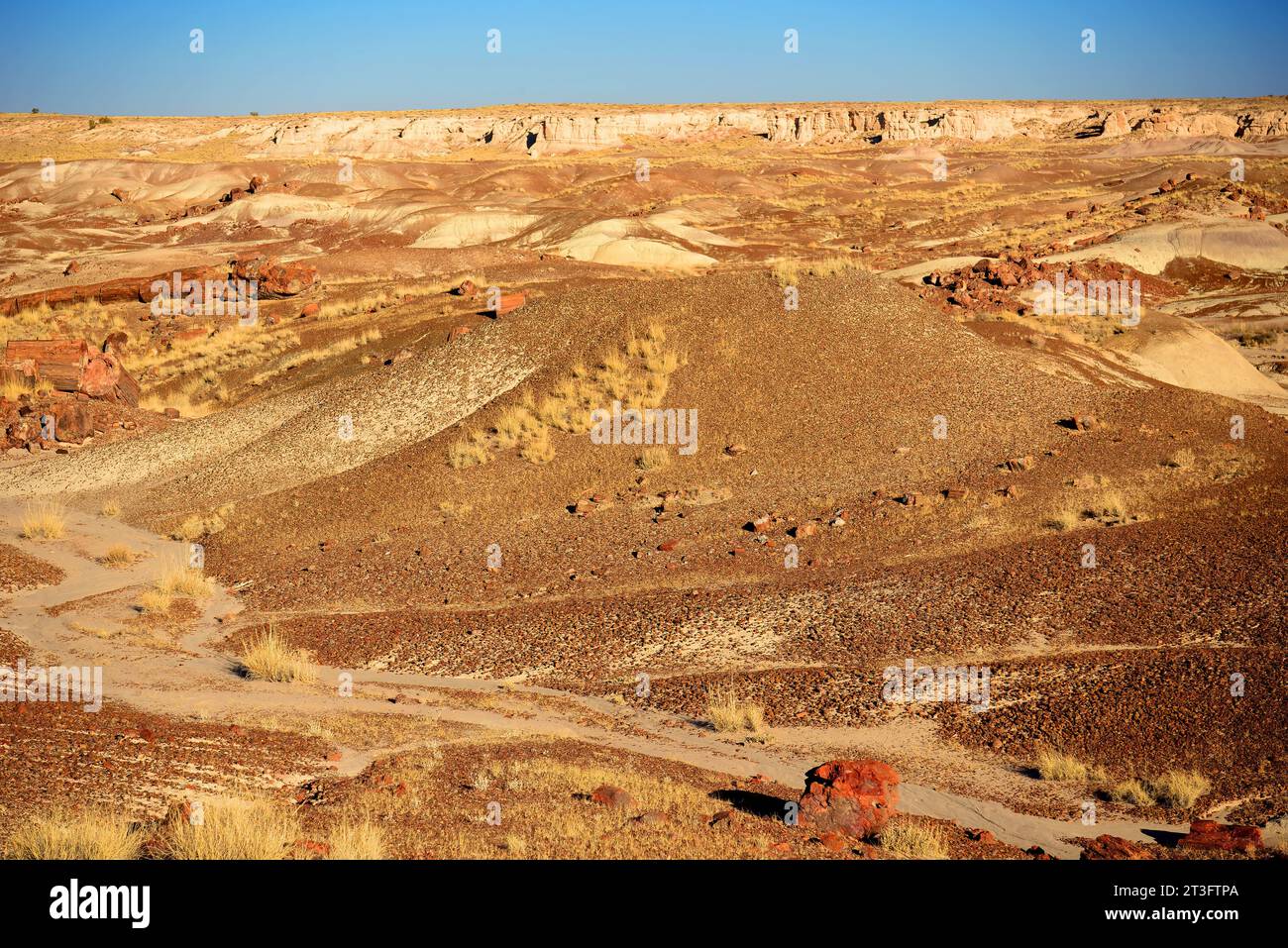 Rugged and Scenic landscape of the ancient petrified forest in Arizona ...