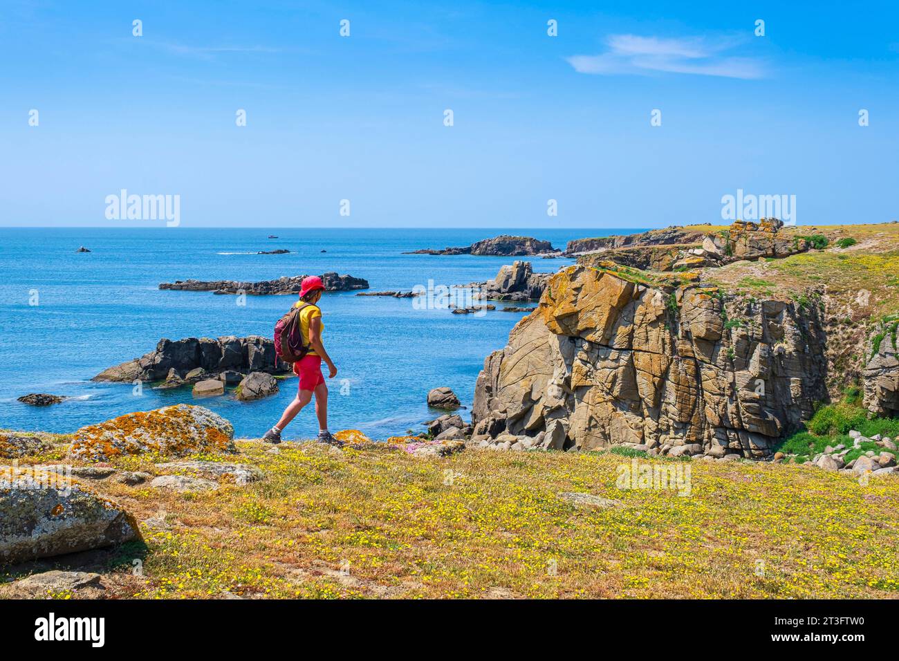 France, Vendée, Ile d'Yeu, the wild coast (southern coast), hiking on ...