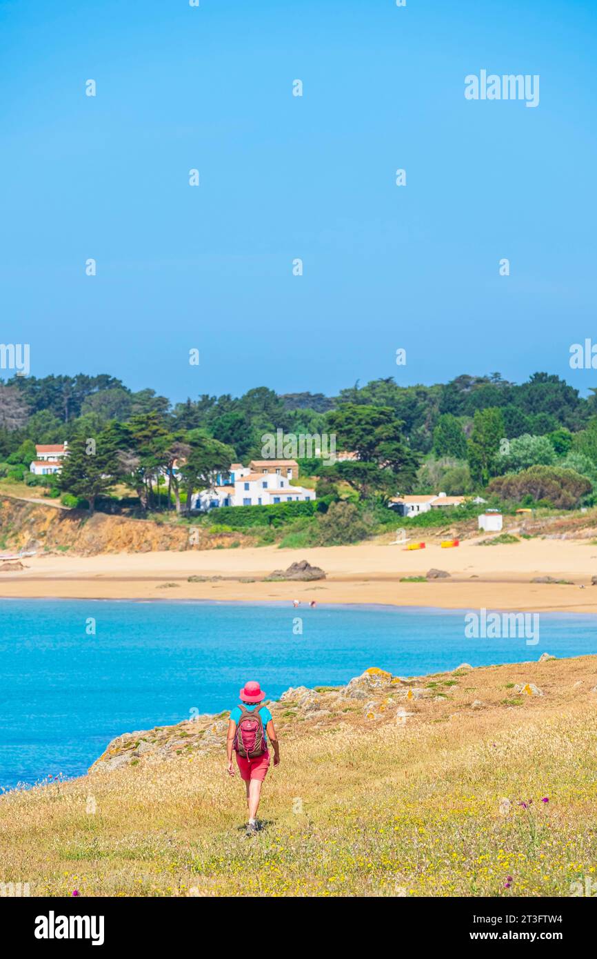 France, Vendée, Ile d'Yeu, the wild coast (southern coast), hiking on ...