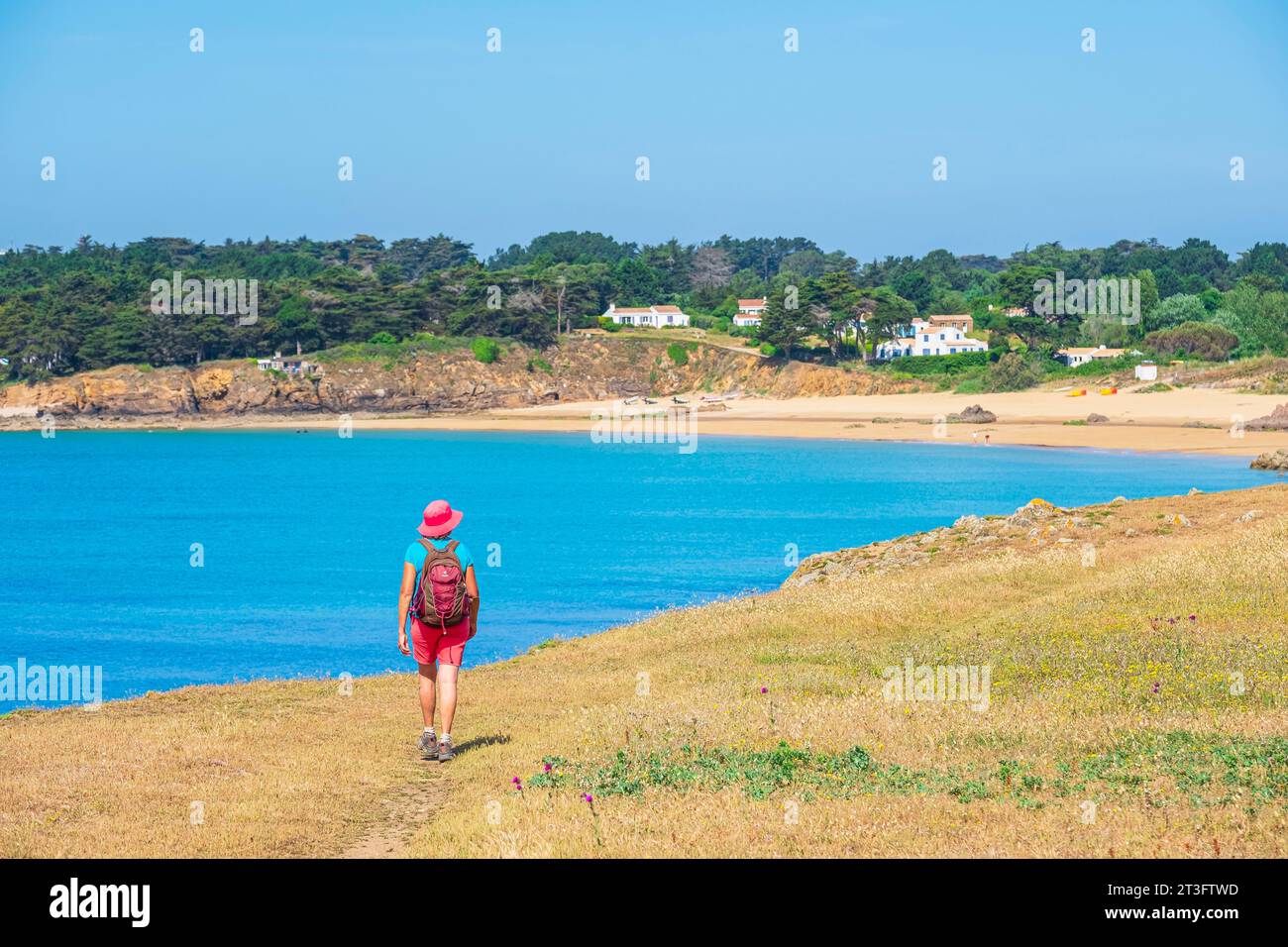 France, Vendée, Ile d'Yeu, the wild coast (southern coast), hiking on ...