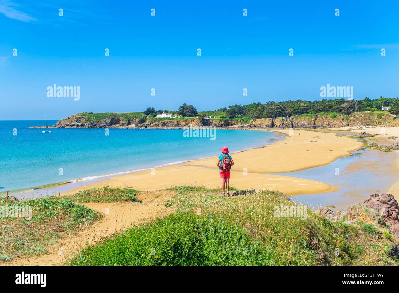France, Vendée, Ile d'Yeu, the wild coast (southern coast), hiking on ...