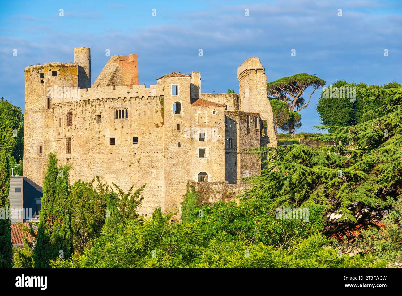 France, Loire Atlantique, Clisson, the medieval castle Stock Photo - Alamy