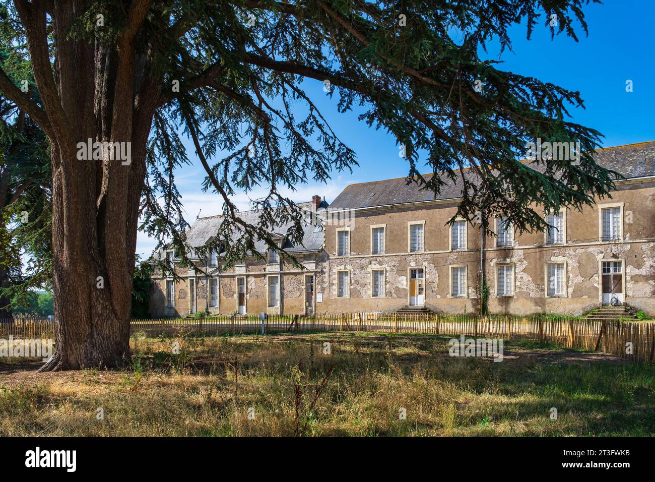 France, Loire Atlantique, Ancenis-Saint-Géréon, Ancenis castle, 19th ...