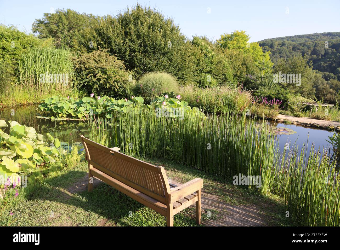 Nature, vegetation, water basins, walks, calm in the Water Gardens ...