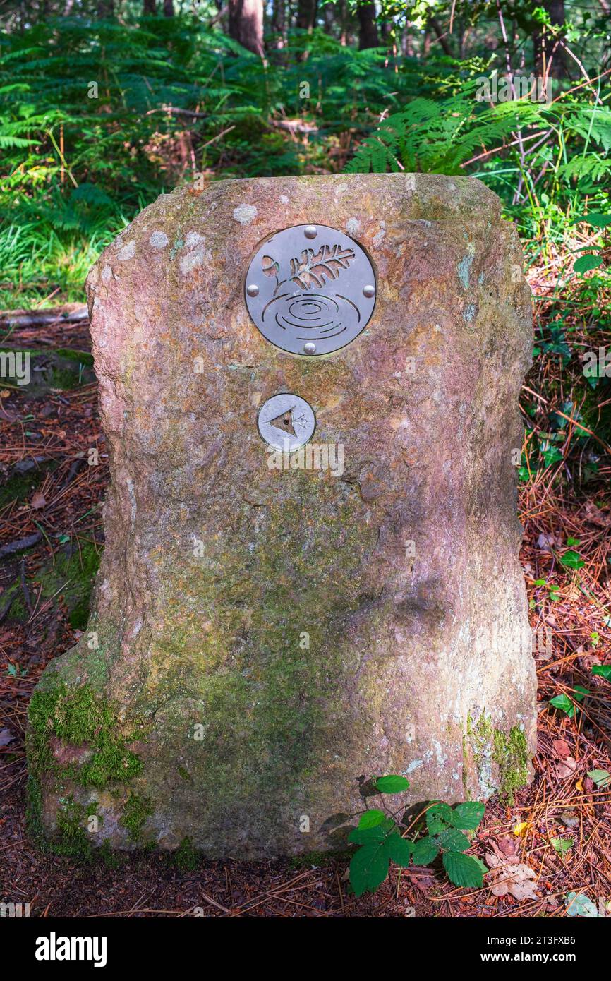 France, Ille et Vilaine, Broceliande Country, Paimpont, trail marking ...