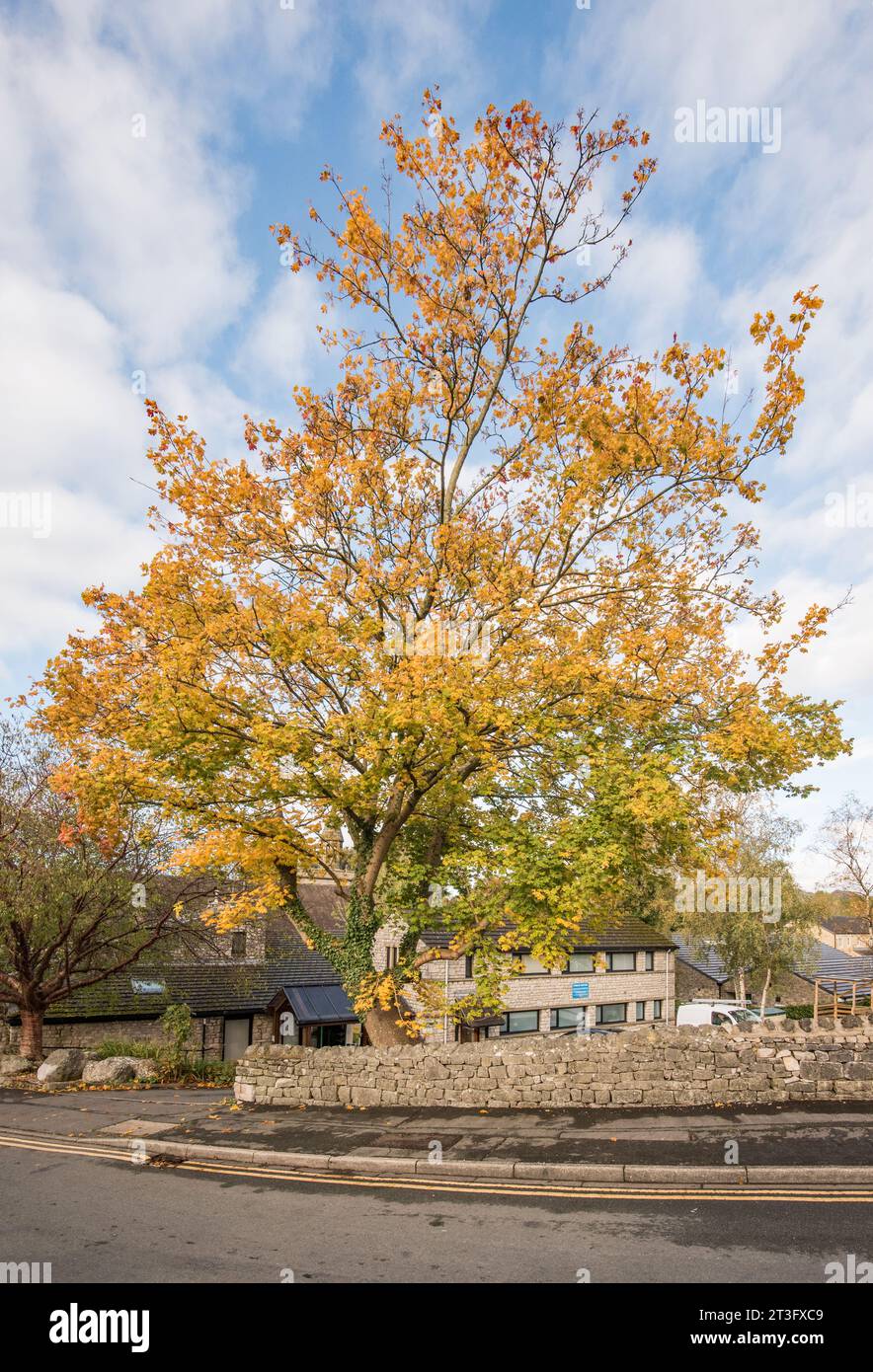 Autumn colour at Townhead Surgery in Settle, North Yorkshire Stock ...