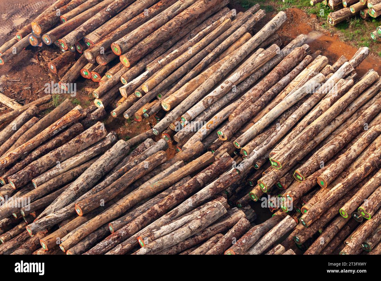 Gabon, Libreville, estuaire District, wood industry, logs (aerial view ...