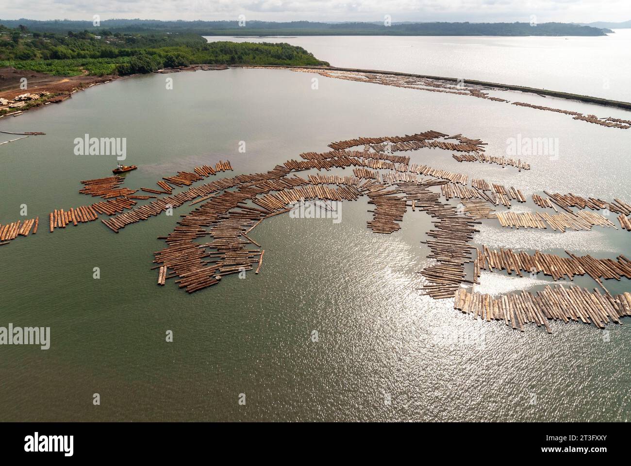 Gabon, Libreville, estuaire District, wood industry, wood floating ...