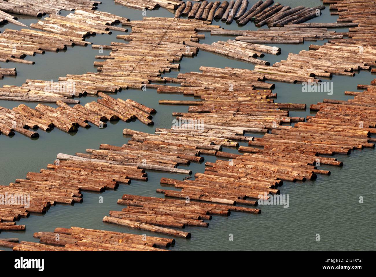 Gabon, Libreville, estuaire District, wood industry, wood floating ...