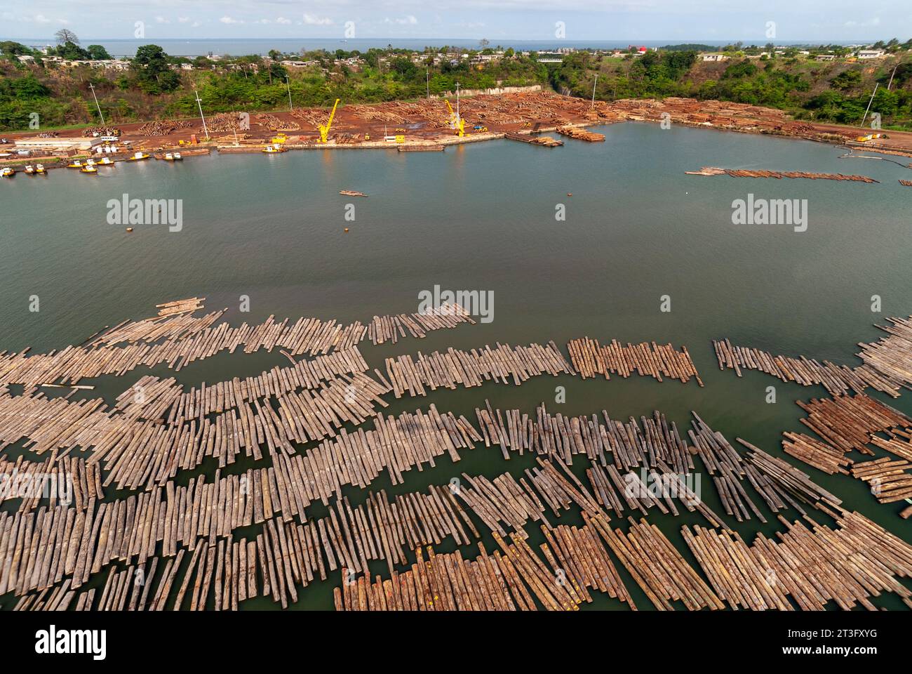 Floating logs africa hi-res stock photography and images - Alamy