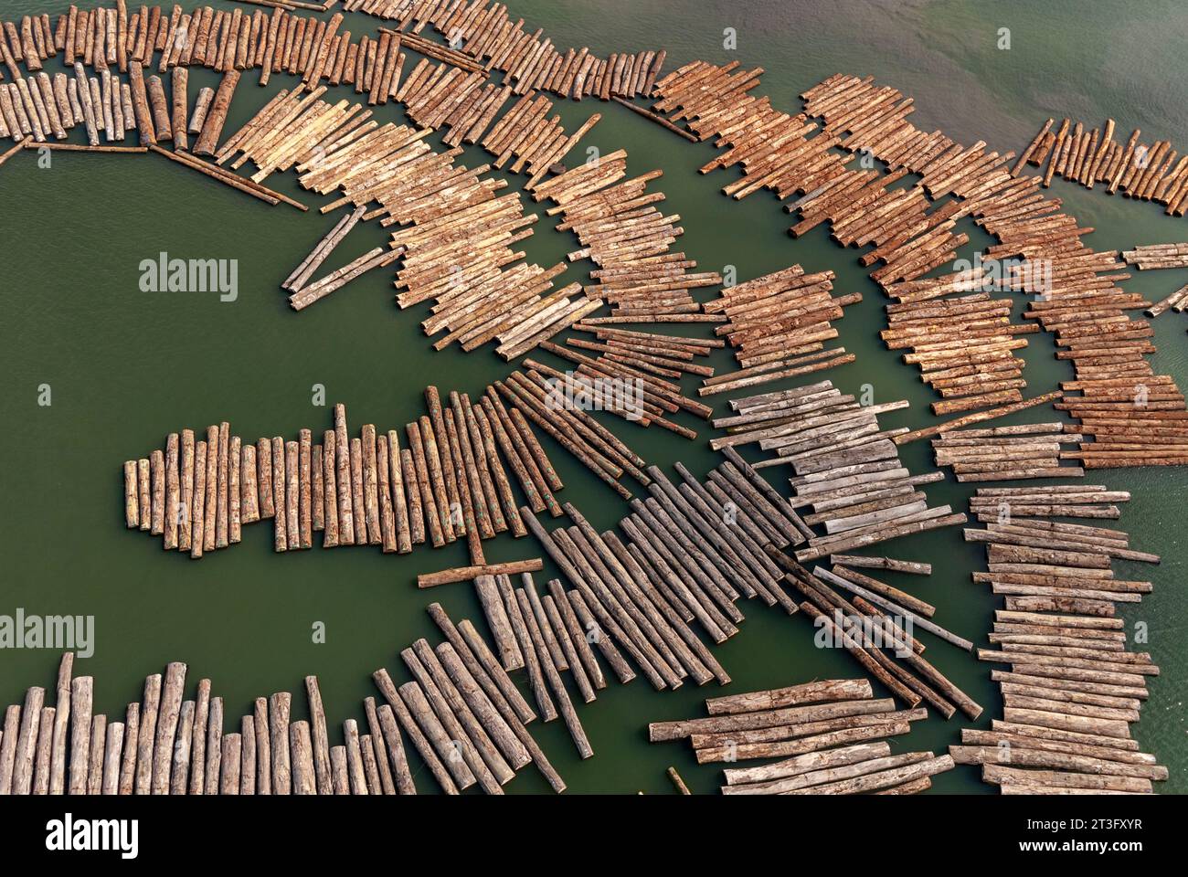 Gabon, Libreville, estuaire District, wood industry, wood floating ...
