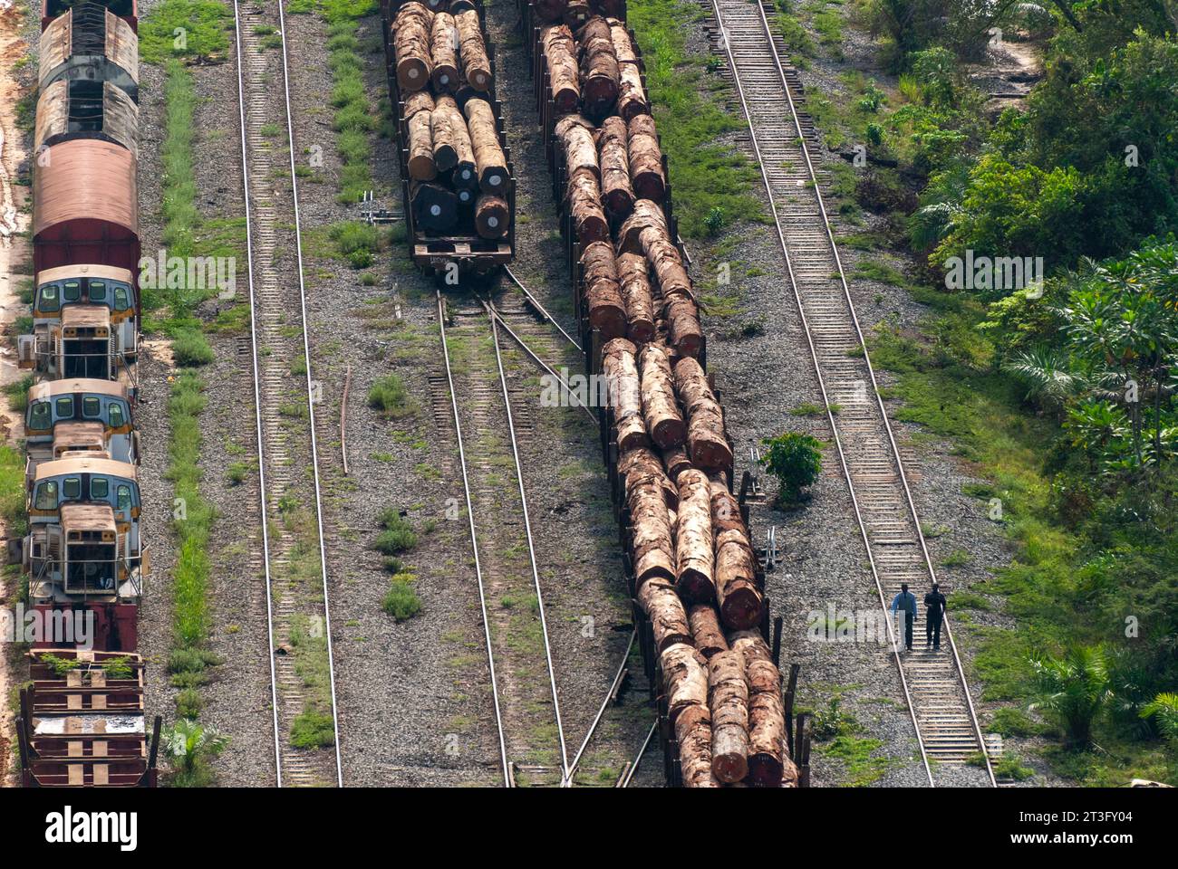 Gabon, Libreville, Estuaire District, Marshalling yard, logs, wood ...