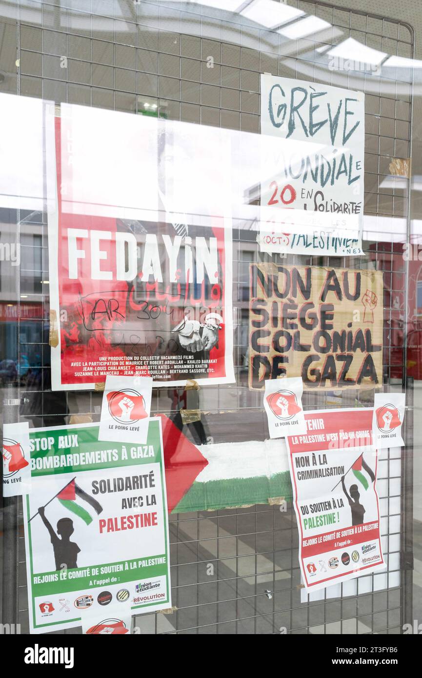 Various posters in a window, Global strike in solidarity with the ...