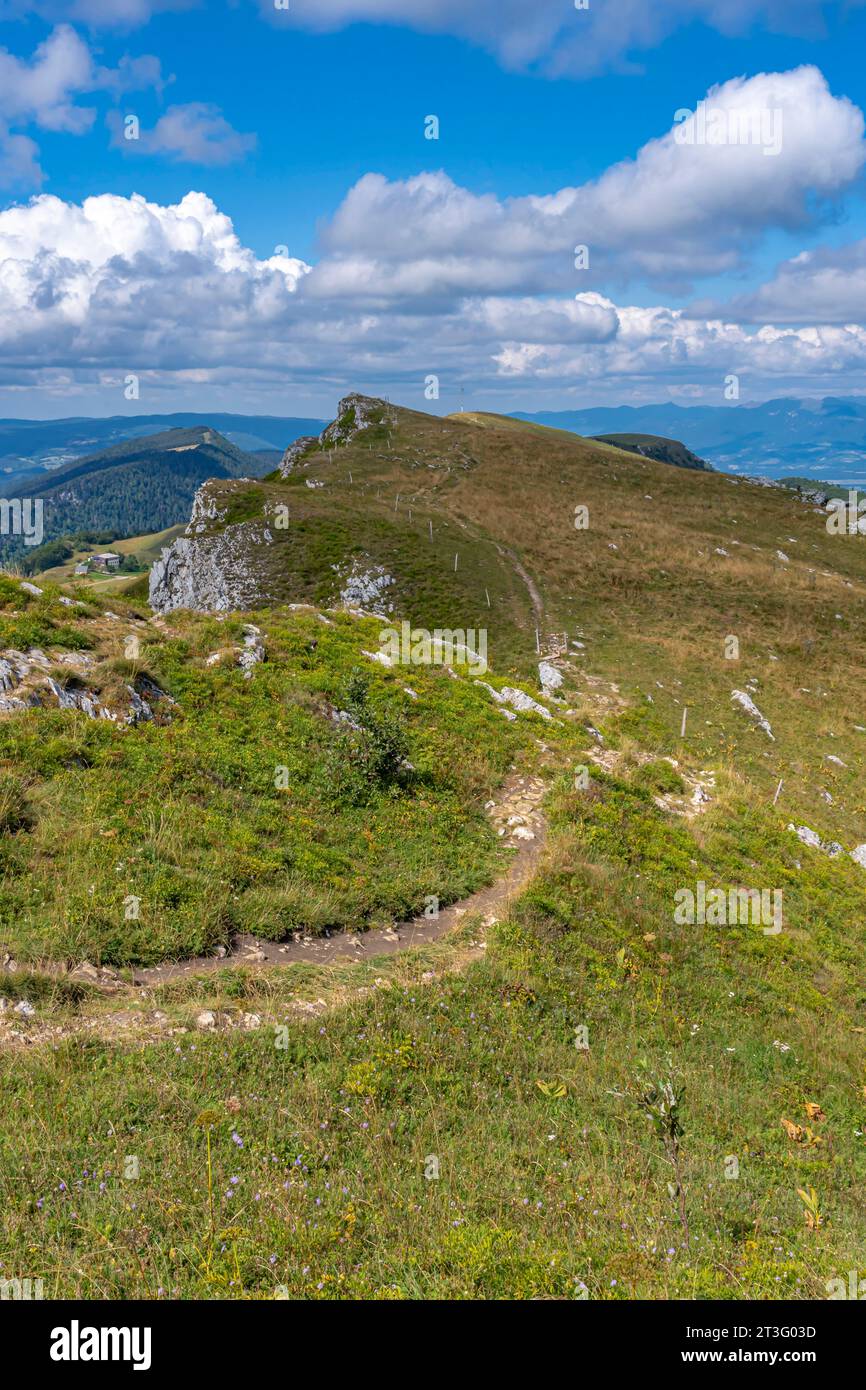 Grand Colombier Pass. View of the Col Du Grand Colombier, the forest ...
