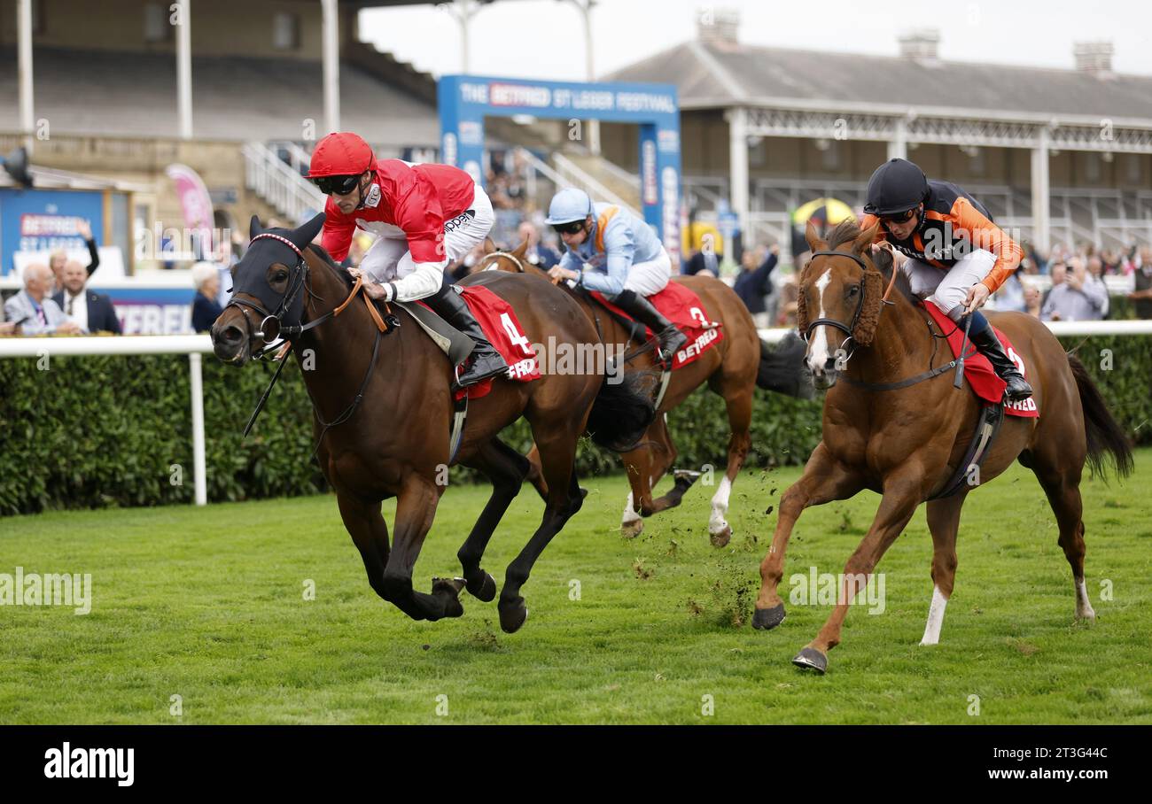 File photo dated 17-09-2023 of million-pound purchase Rogue Lightning ...