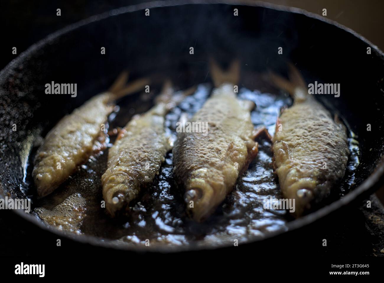 Four roaches are fried in a pan Stock Photo - Alamy