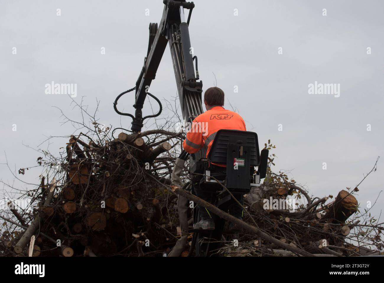 Cleanup Work After A Storm, Tree Damage In The Forest Cleanup After ...