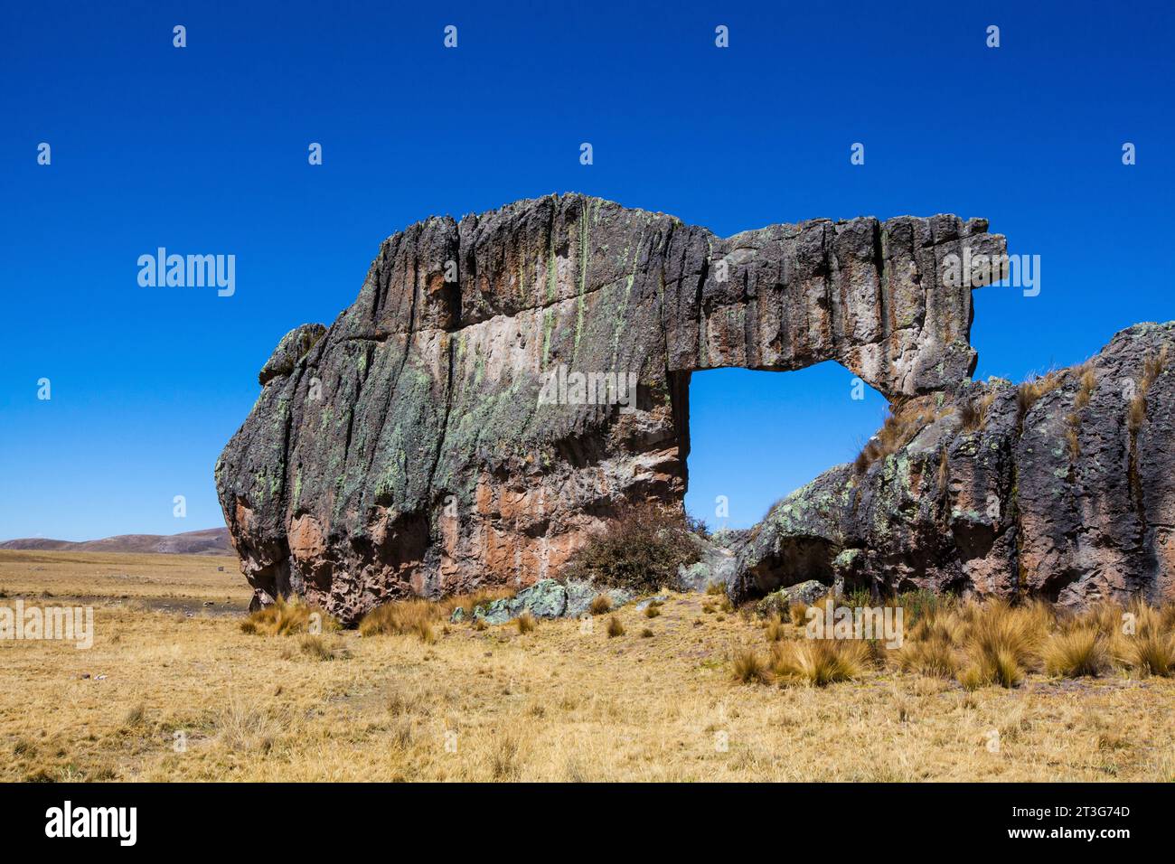The stone alpaca, rocasa formation caused by erosion in Huayllay- Peru ...