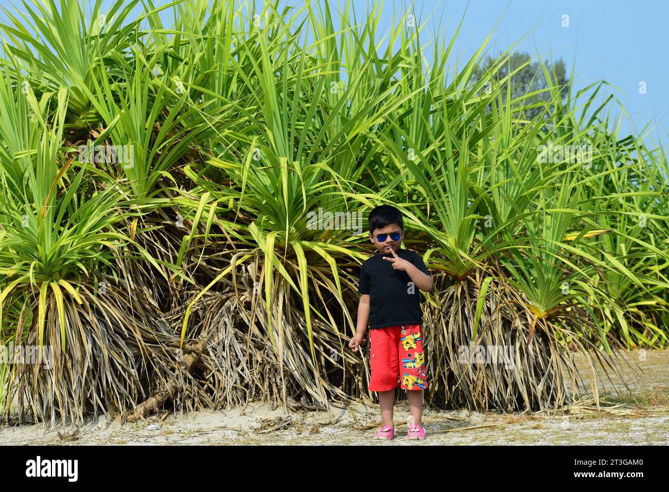 Saint martin island hi-res stock photography and images - Alamy