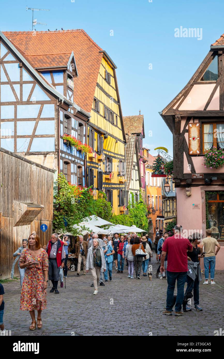 France, Haut Rhin, Riquewhir, the labeled the most beautiful villages ...