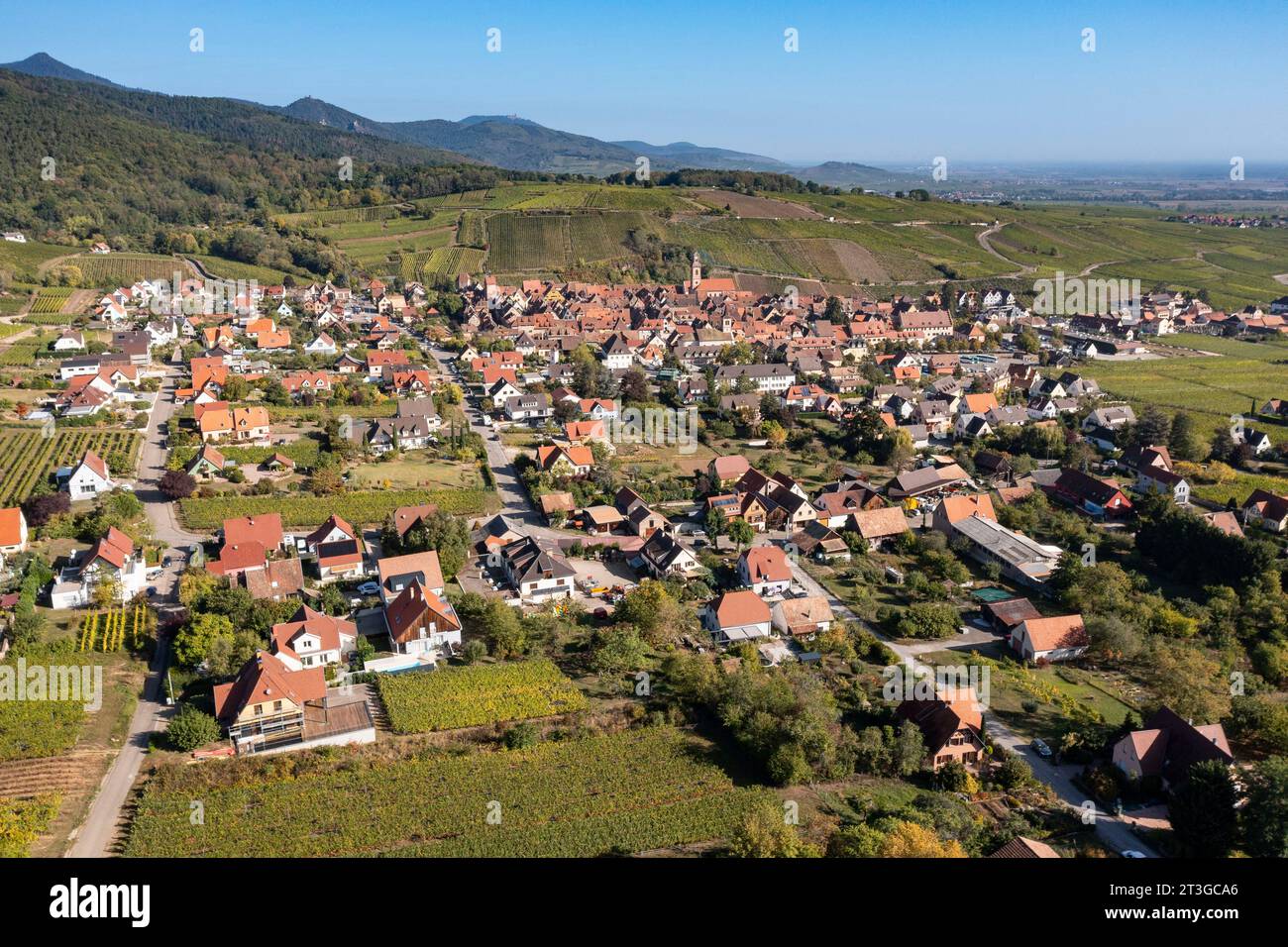 France, Haut Rhin Riquewhir, the labeled the most beautiful villages of ...