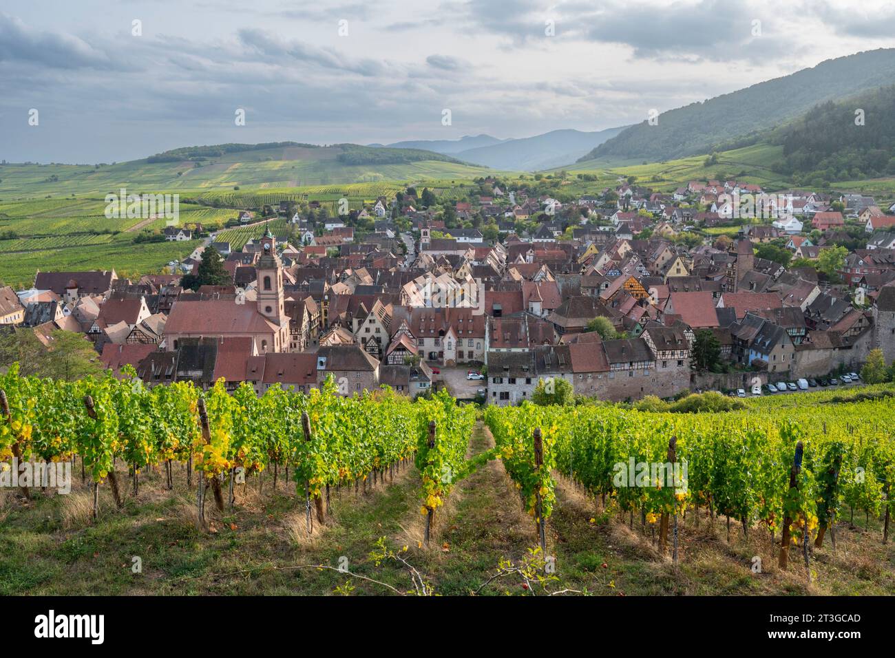 France, Haut Rhin, Riquewhir, labeled the most beautiful villages of ...