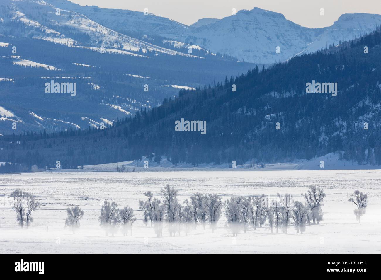 United States, Wyoming, Yellowstone National Park, listed as World ...