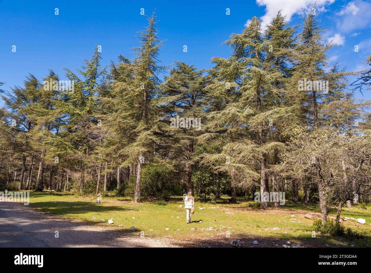 France, Vaucluse, Parc Naturel Regional du Luberon (Luberon Natural ...