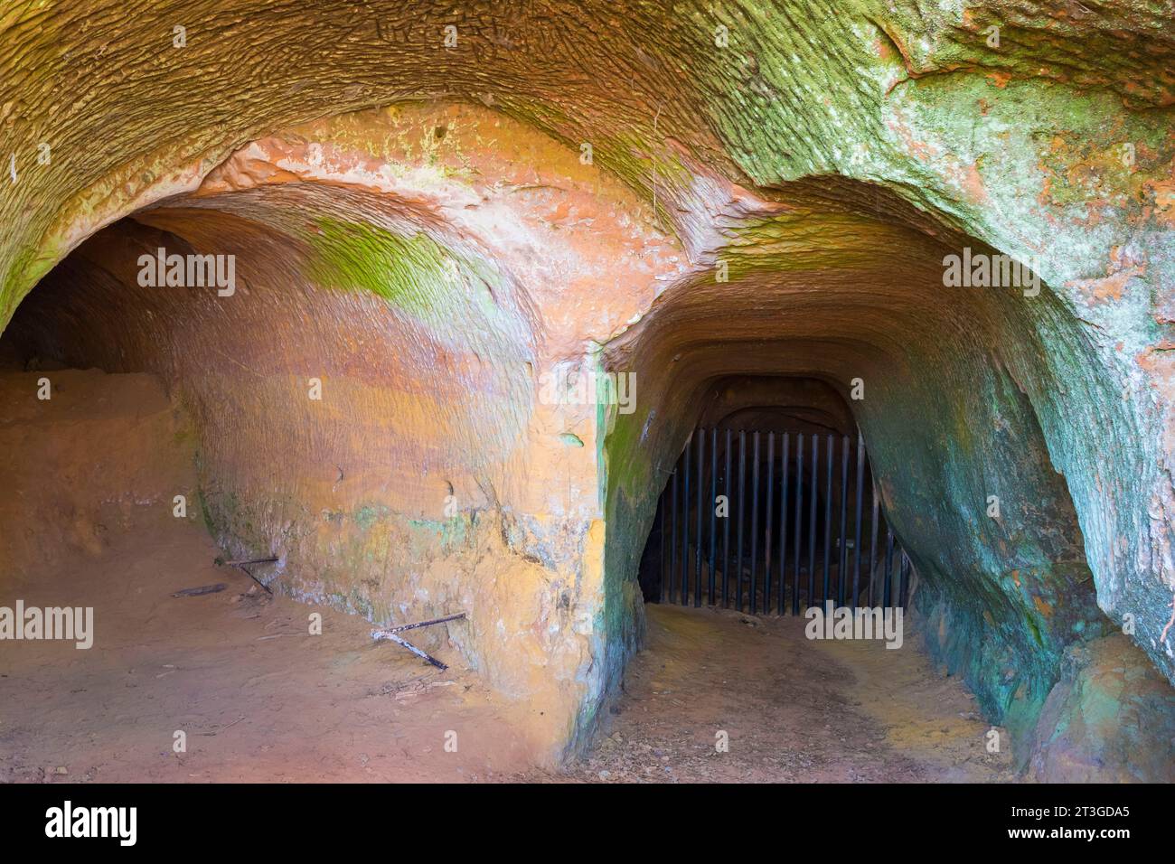 France, Vaucluse, Luberon regional nature park, surroundings of Villars ...