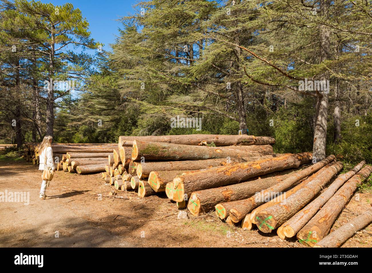 France, Vaucluse, Parc Naturel Regional du Luberon (Luberon Natural ...