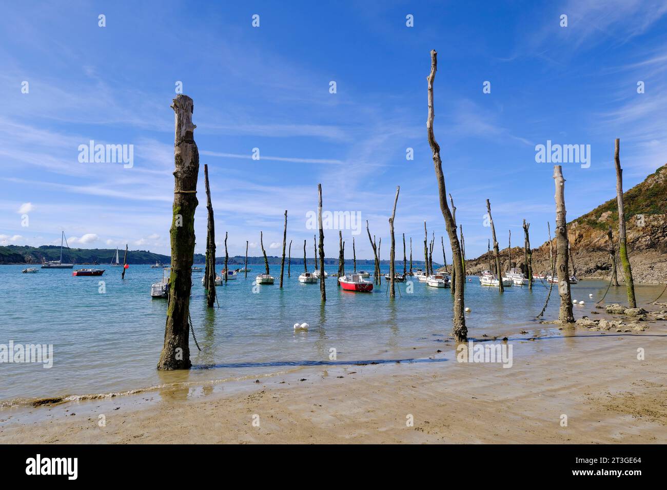 France, Côtes d'Armor, Plouha, the wooden pile harbour of Gwin Zegal ...