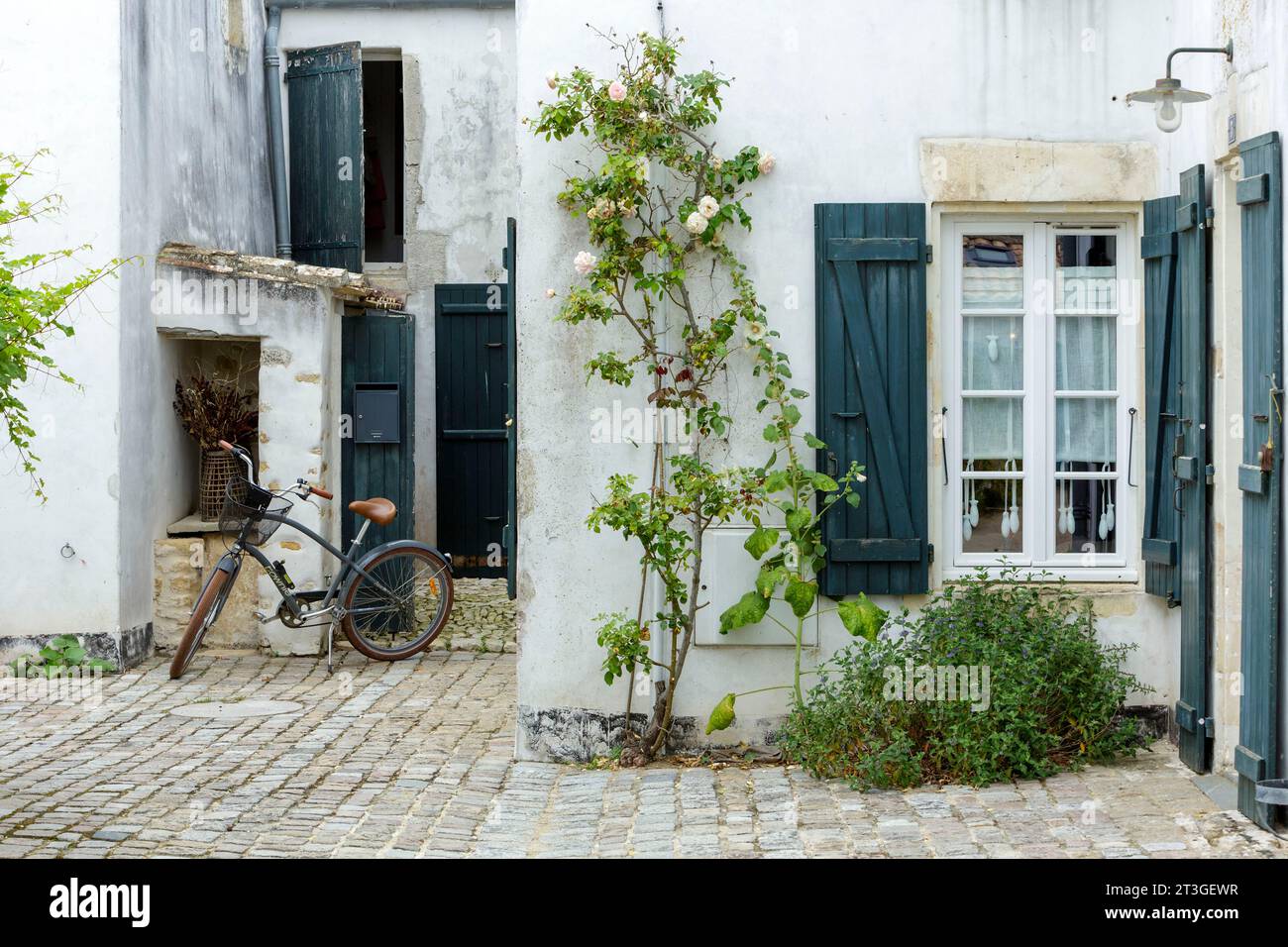 France, Charente Maritime, Ile de Re, Loix, bicycle and facade of a ...