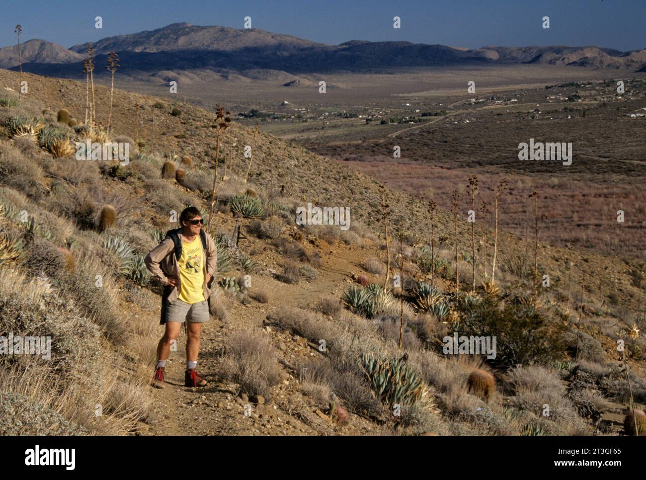 Pacific Crest Trail, Anza Borrego Desert State Park, California Stock ...