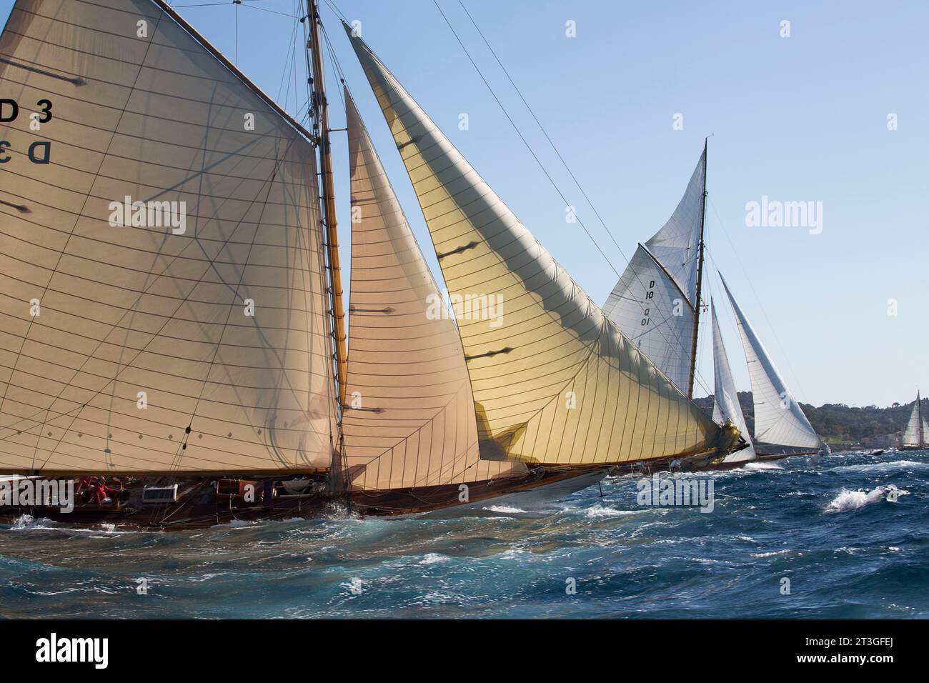 France, Var, Saint Tropez, Voiles de Saint Tropez 2017, in regatta ...