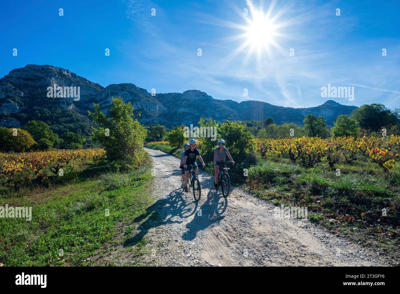 France, Vaucluse, Luberon regional natural park, cycle route on the ...