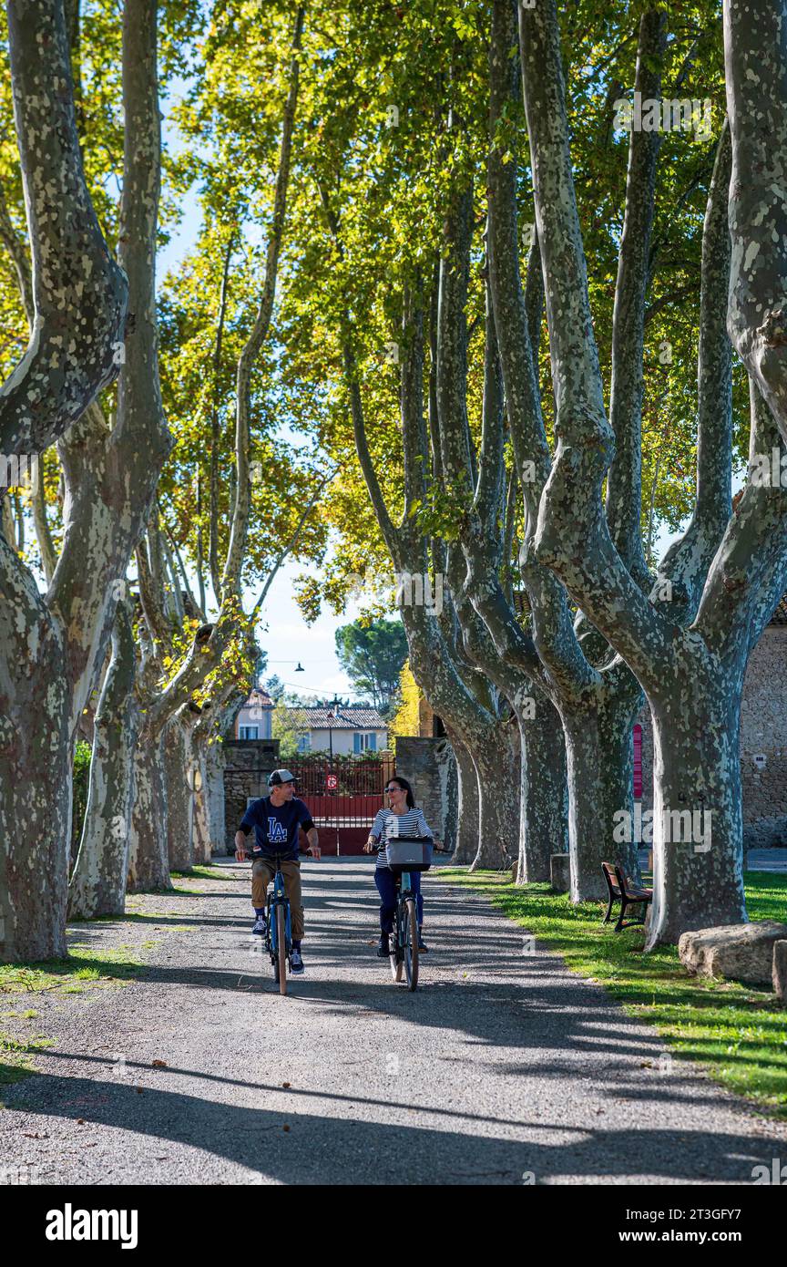 France, Vaucluse, Luberon regional natural park, cycle route on the ...