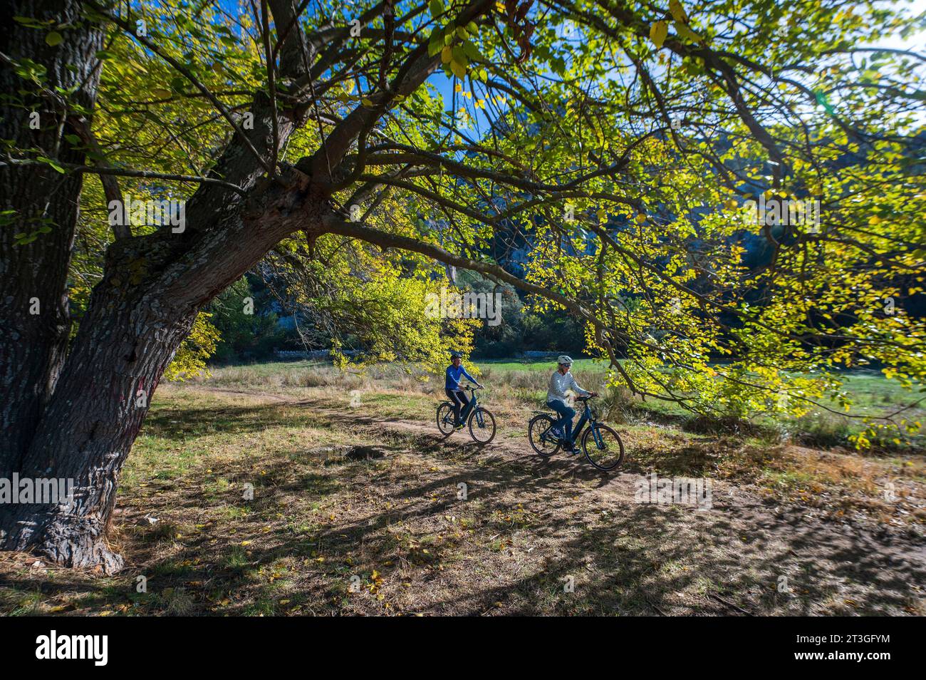 France, Vaucluse, Luberon regional natural park, cycle route on the ...