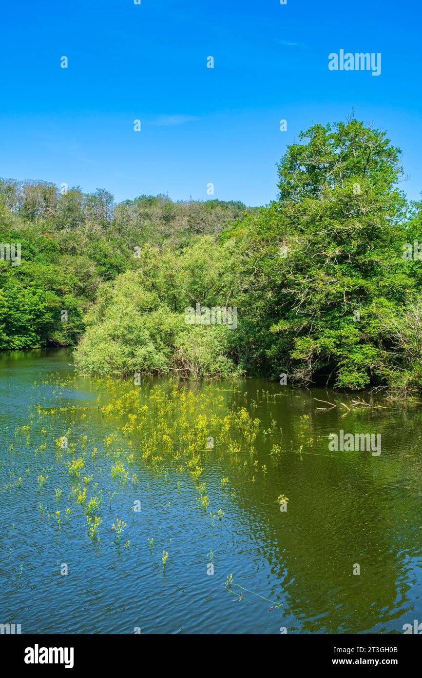 France, Vendee, Mervent, at the confluence of La Mere and Vendee rivers ...