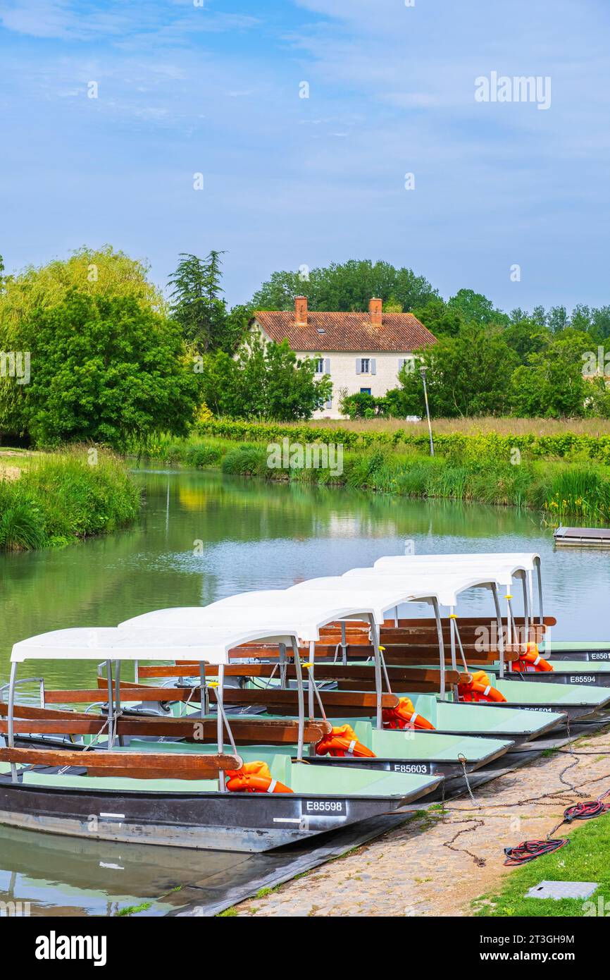 France, Vendee, Marais Poitevin Interregional Park labeled Great Site ...