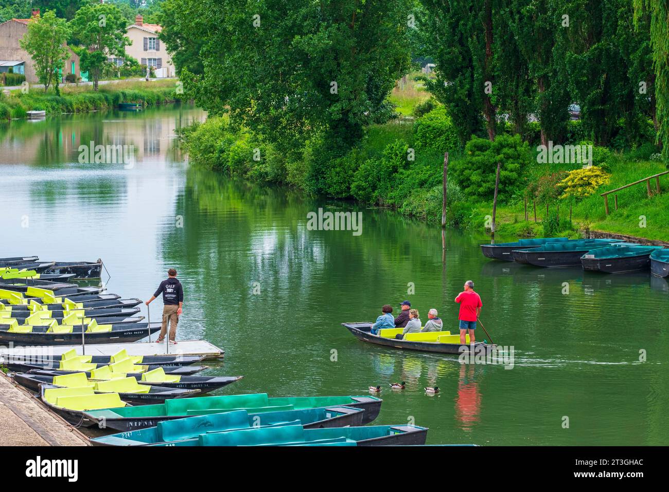 France, Vendee, Marais Poitevin Interregional Park labeled Great Site ...