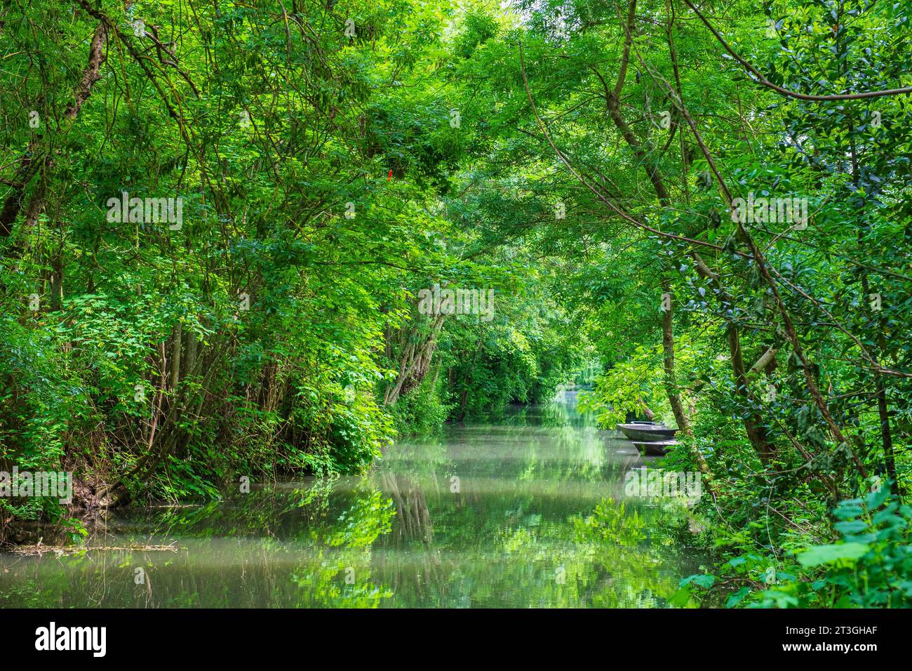France, Deux Sevres, Marais Poitevin Interregional Park labeled Great ...