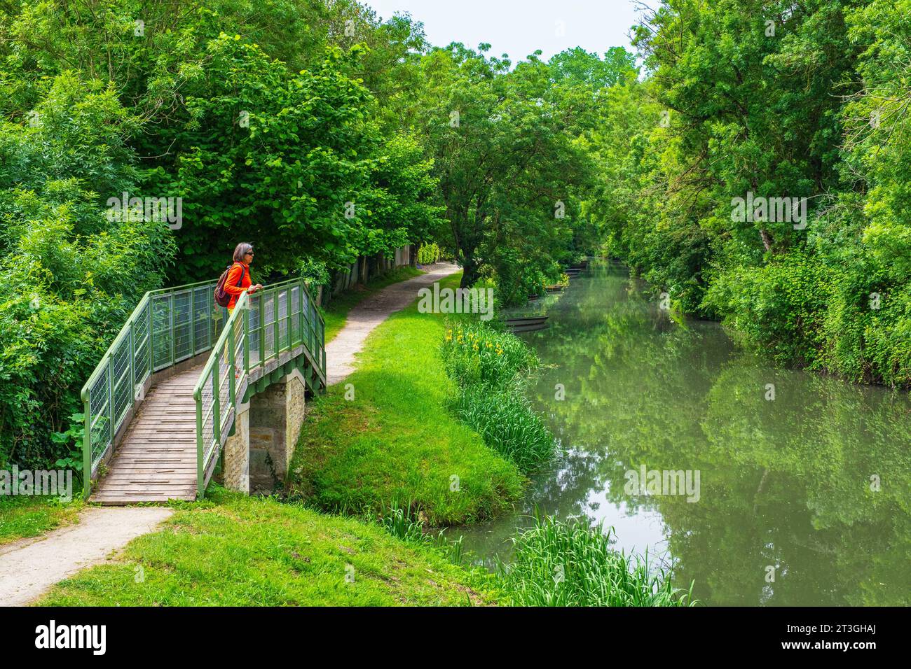 France, Deux Sevres, Marais Poitevin Interregional Park labeled Great ...