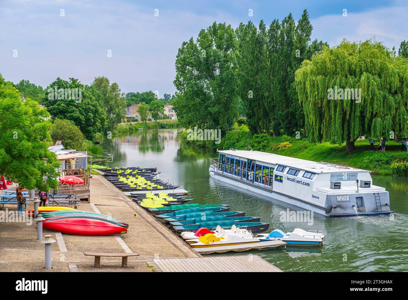 France, Vendee, Marais Poitevin Interregional Park labeled Great Site ...