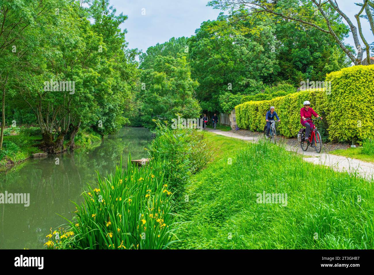 France, Deux Sevres, Marais Poitevin Interregional Park labeled Great ...