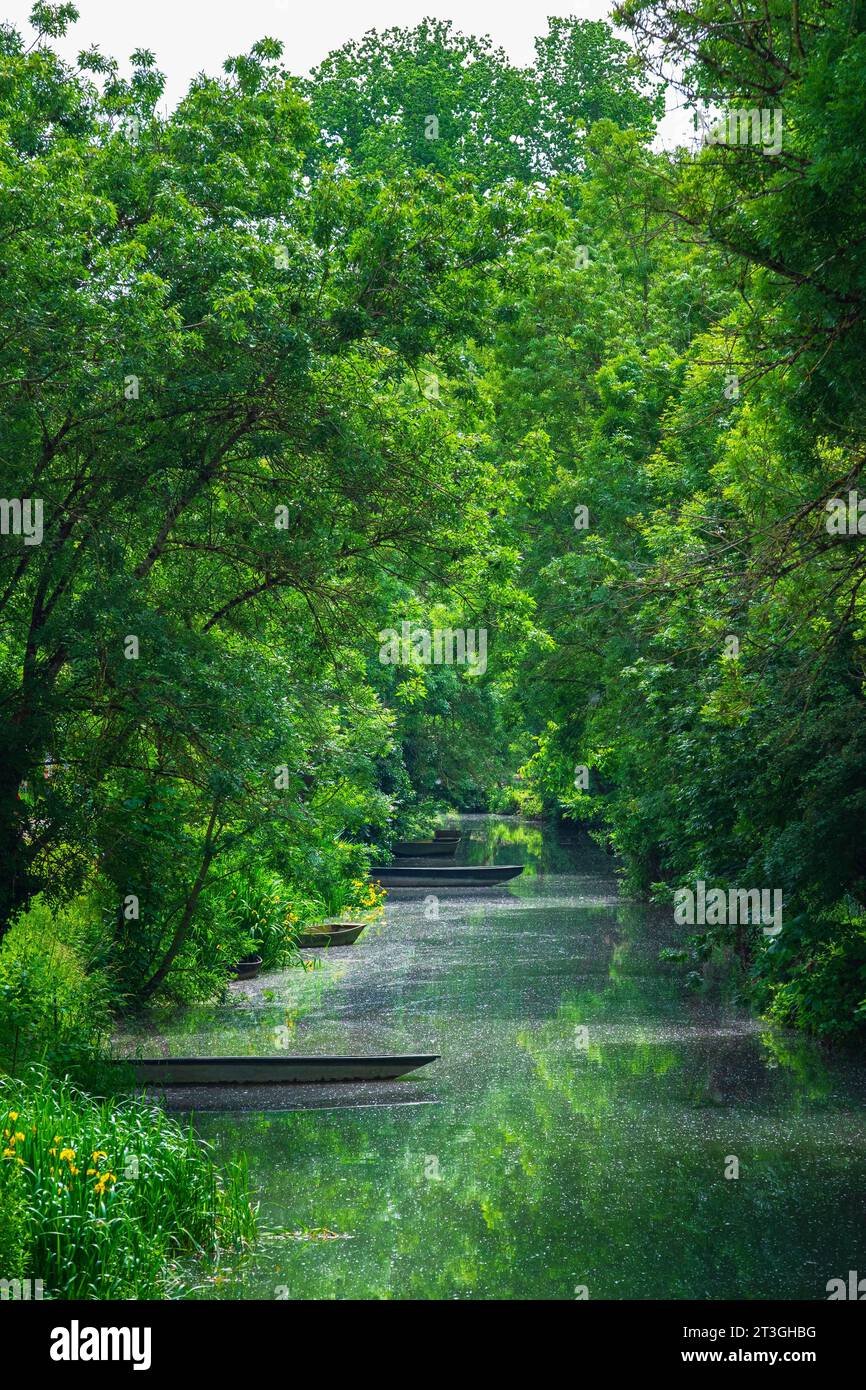 France, Deux Sevres, Marais Poitevin Interregional Park labeled Great ...