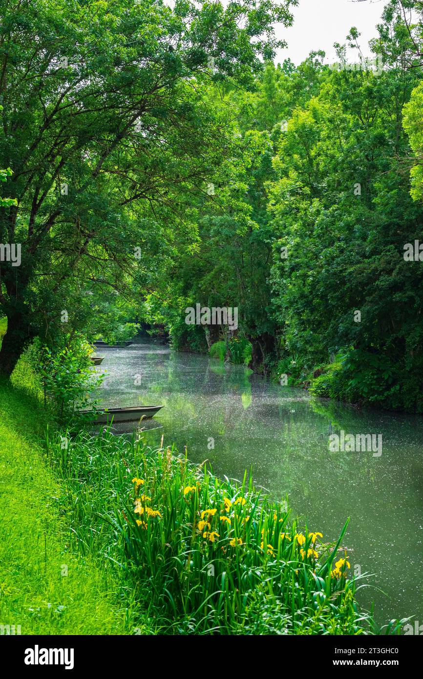 France, Deux Sevres, Marais Poitevin Interregional Park labeled Great ...
